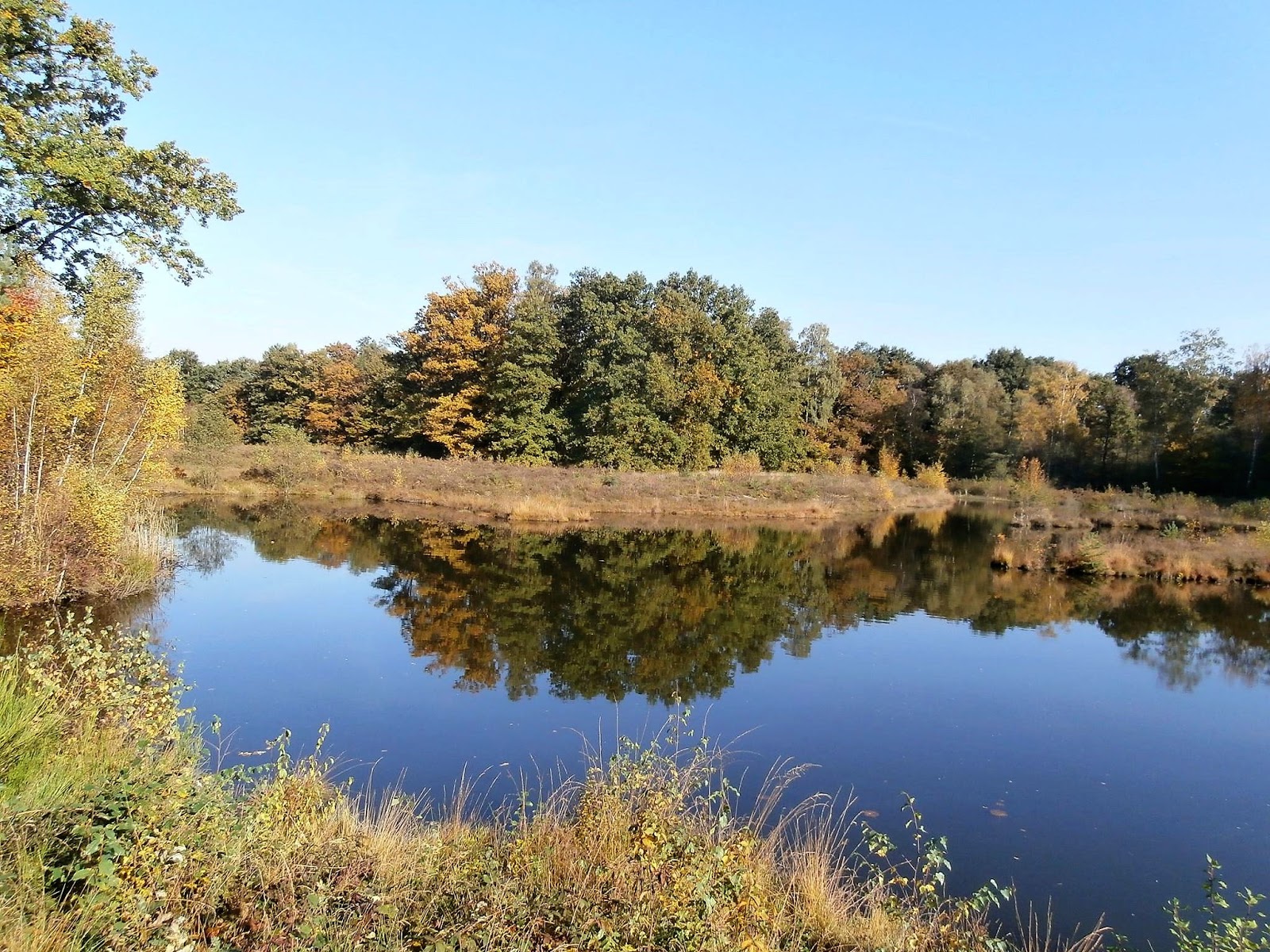 Mooiste Routes: Wandelen bij Winterswijk Woold (Gelderland)