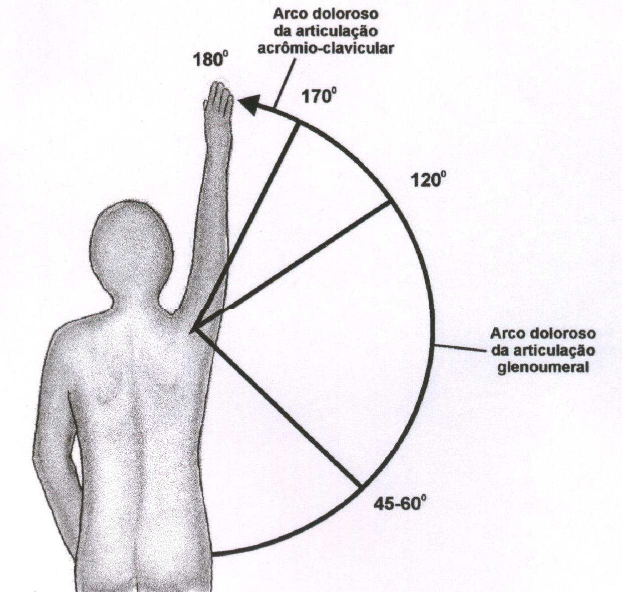 FisioFabrini: Avaliação Fisioterapêutica do Ombro