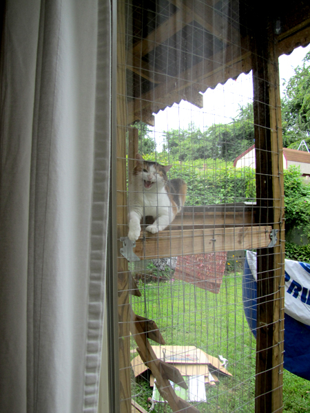 Jake LaGory- illustrator