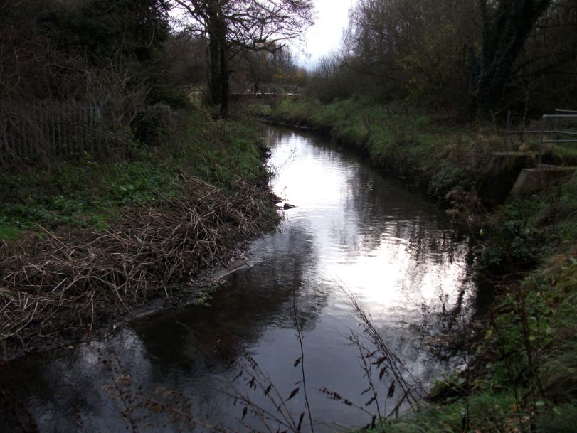 Vinnyman's Birding and Nature Blog.: Sheldon Country Park.