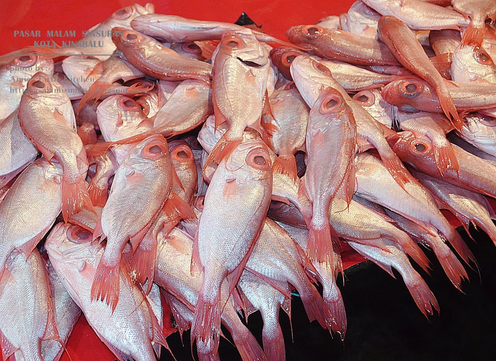 Apa Ada di Pasar Malam Sinsuran Kota Kinabalu - Amie's Little Kitchen