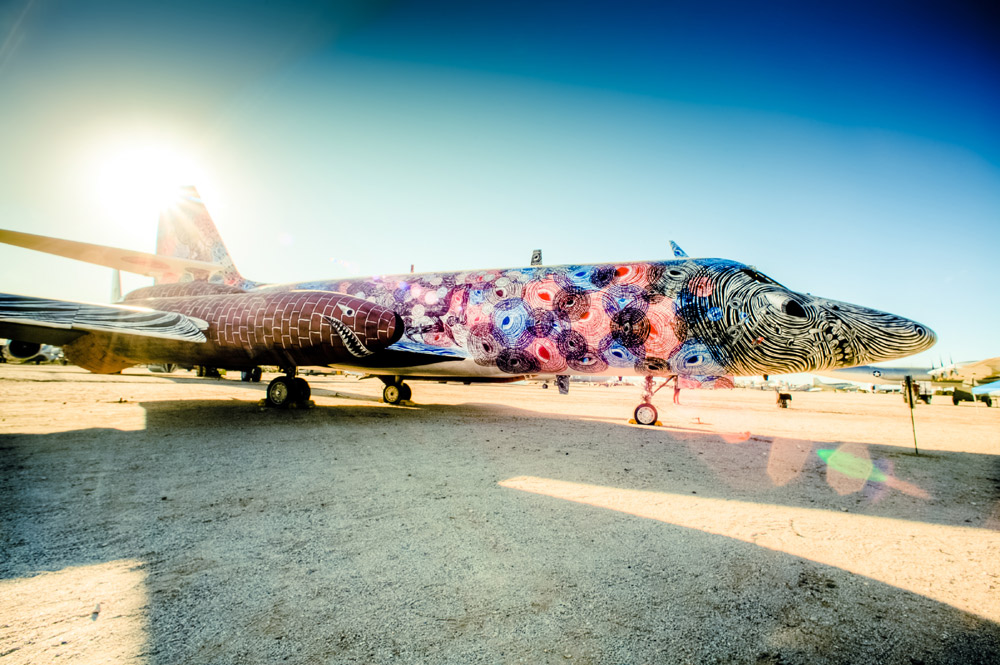 The Boneyard Project: Art on Discontinued Airplanes
