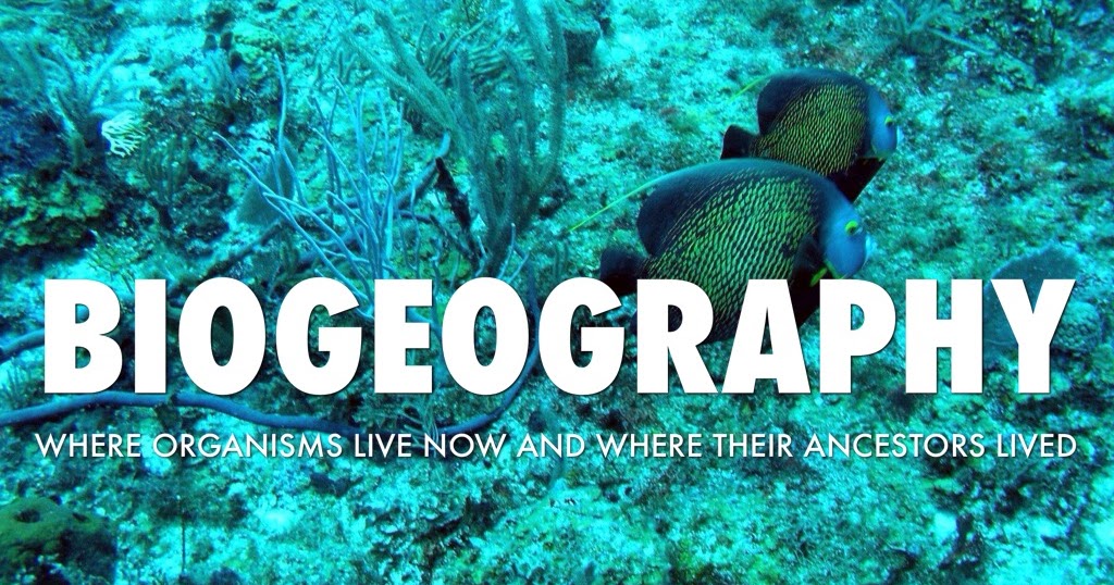 Bio-Geography for NET/SET (Set-1) - Geography for You