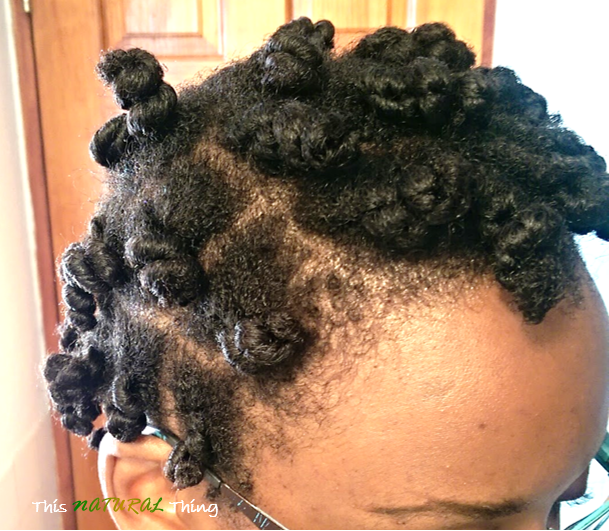 This NATURAL Thing: Twisted Curls with As I Am | Review | BONUS Styling ...