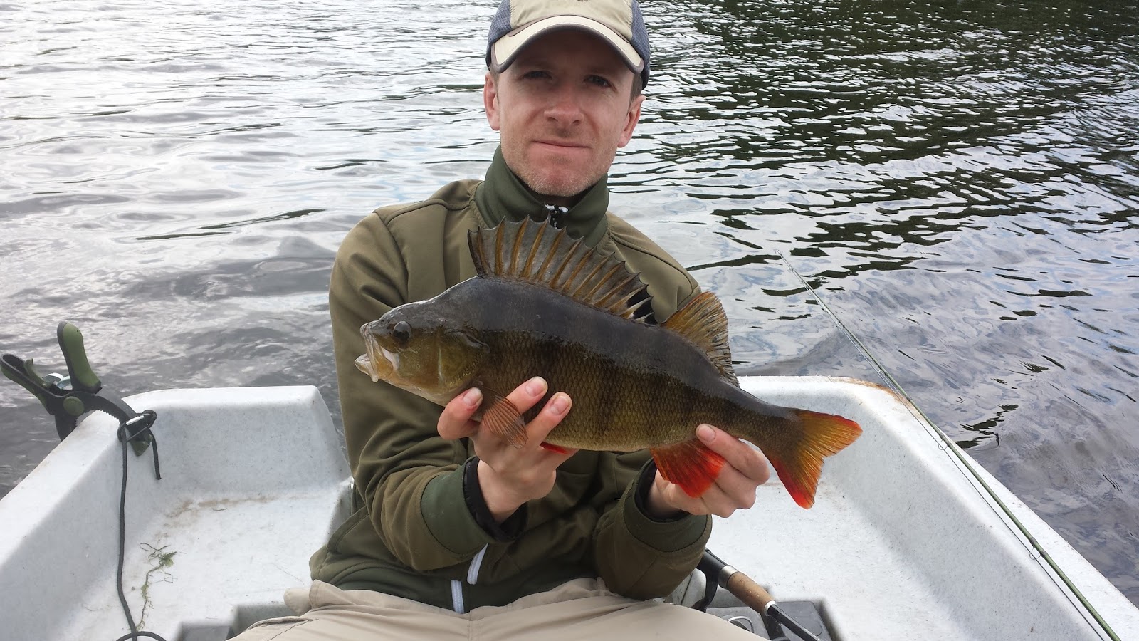 July 2015 Fish of the Month Entry - Scottish Perch!