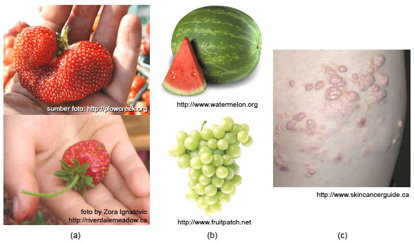 E Learning MAN 1 Medan: Mutasi