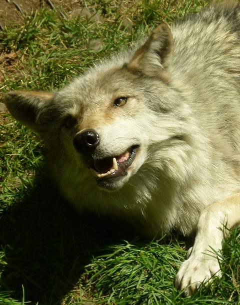 Elaine Quehl: A Perfect Day in Haliburton