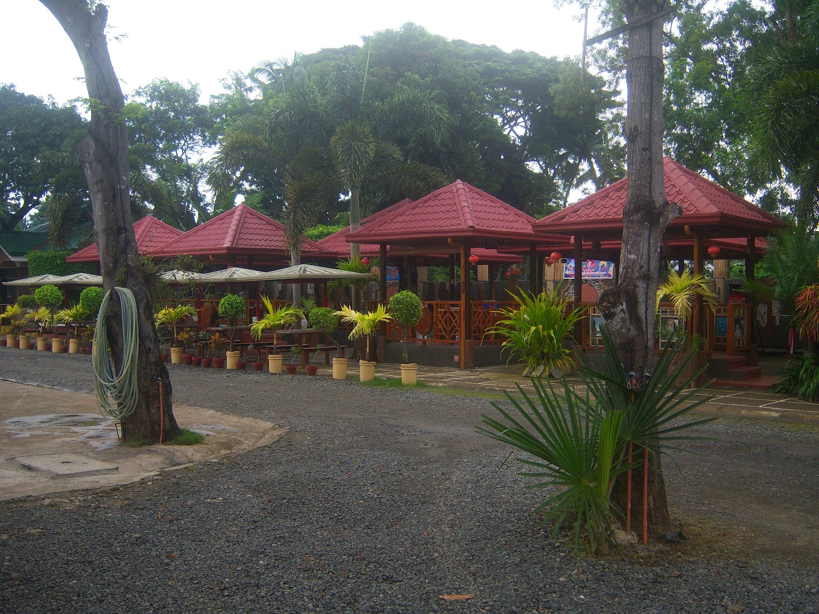 Destination Philippines: Mitra's Ranch and Balay Inato Pension, Puerto ...