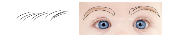 Tutorial Menggambar Alis Mata Bayi (Vector) | Menggambar Vektor