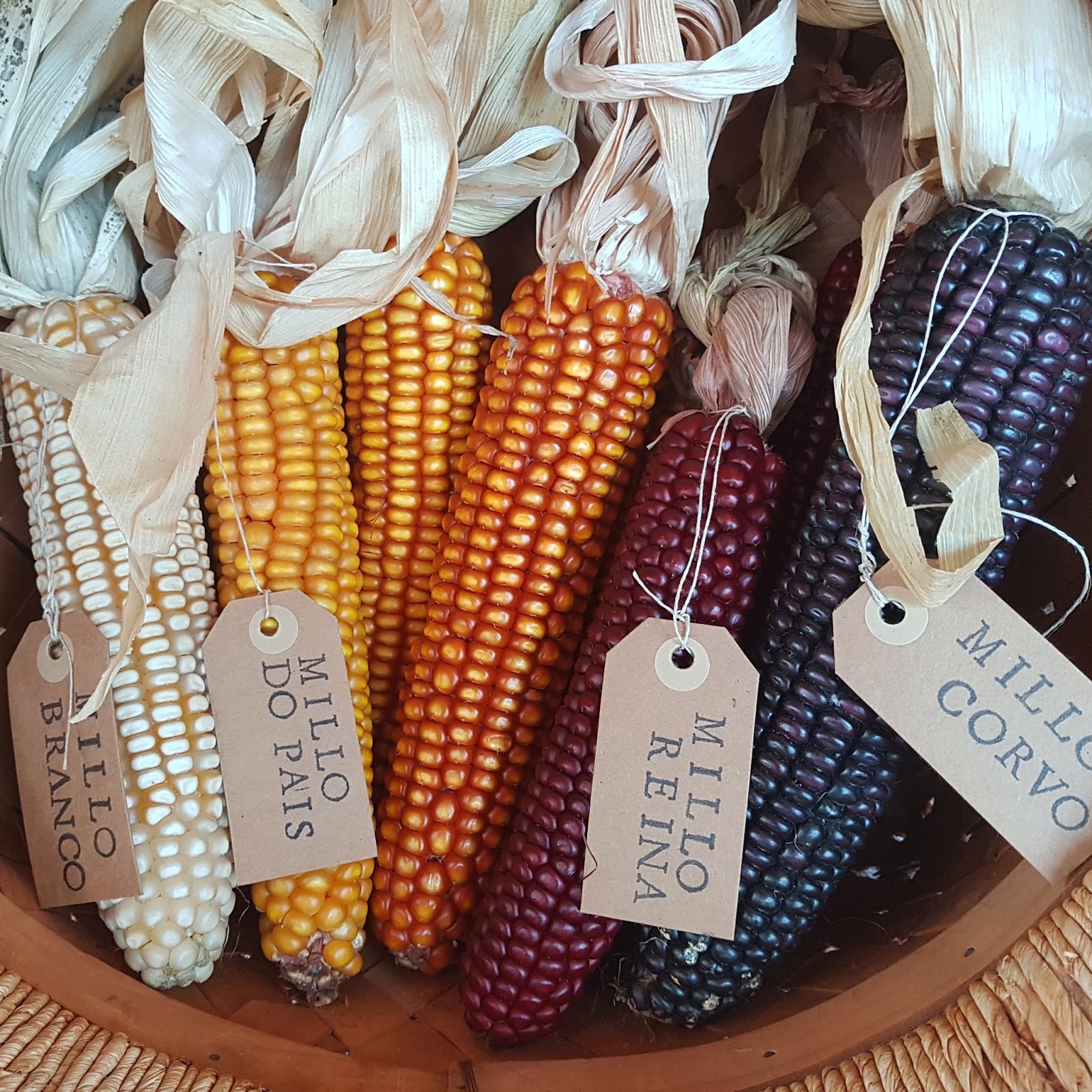 O Millo na Cultura Galega | Slow Food Compostela