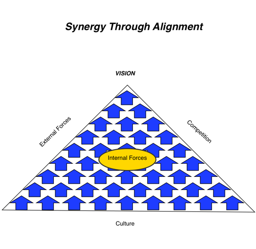 Synergy Through Alignment: Identifying Your Organization's Culture