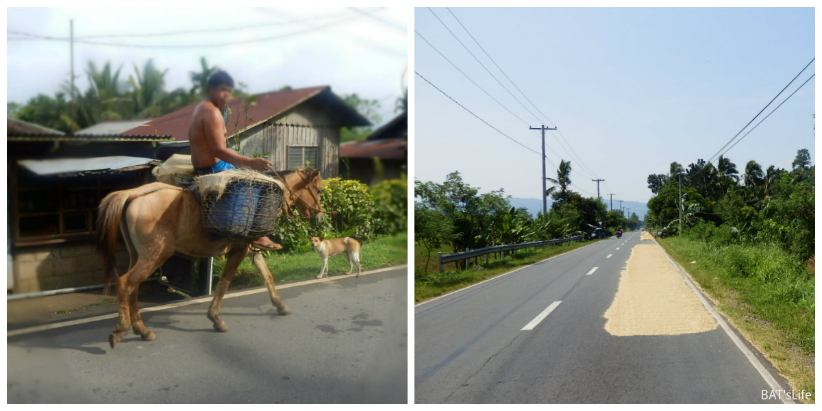 A Trip to the PaRK (Real, Quezon)
