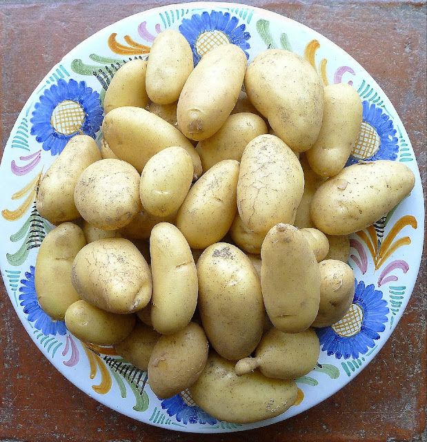 MY KITCHEN IN SPAIN: POTATOES, RAMPANT