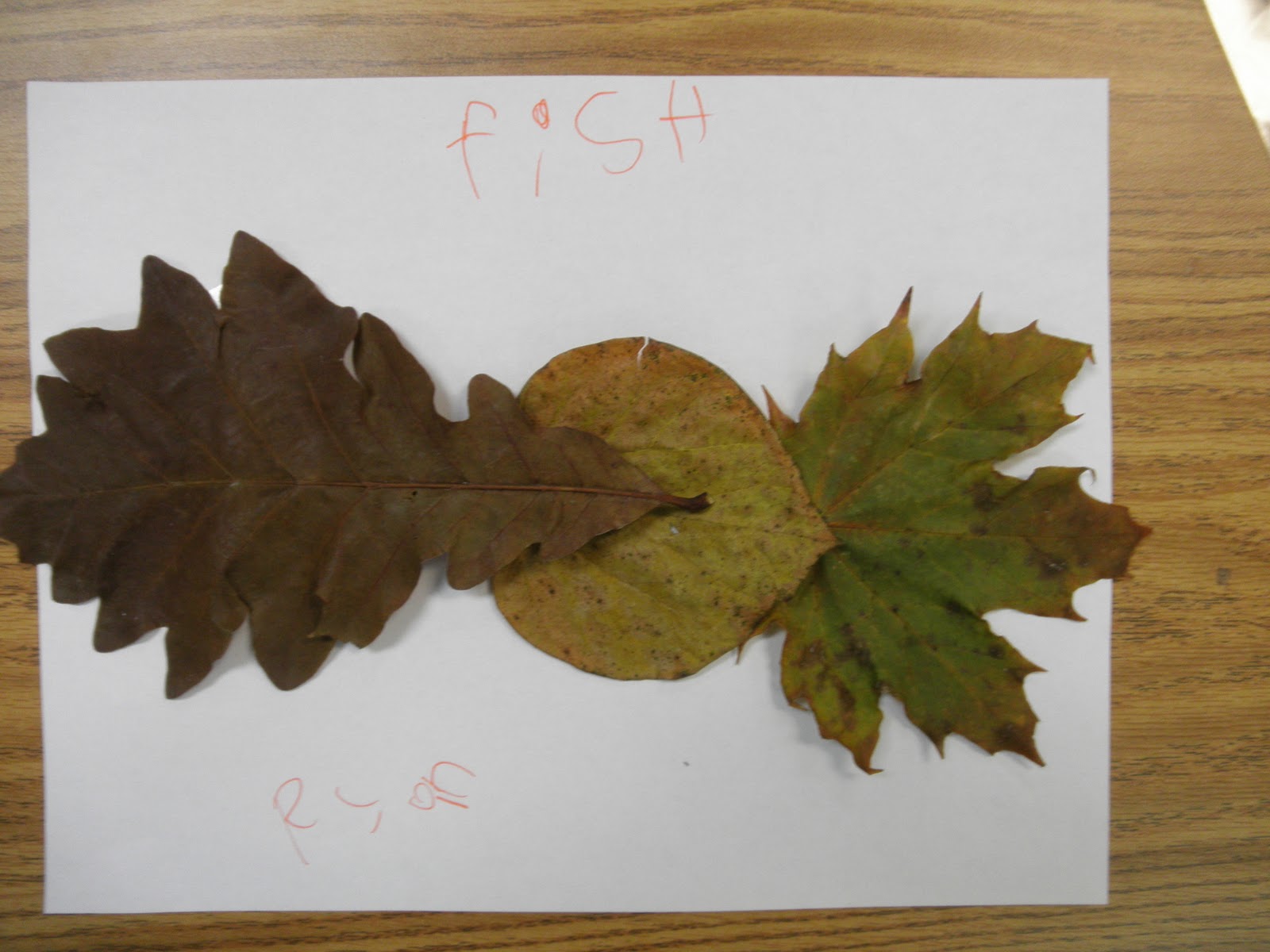 Teaching is a Work of Heart: Leaf Man