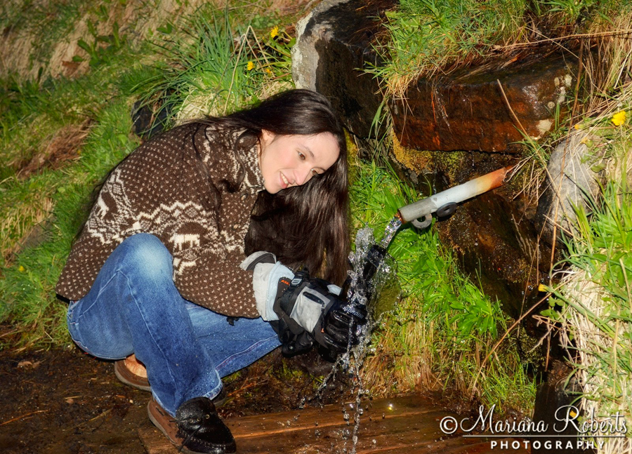 The Mushroom Fairy: SPRING WATER