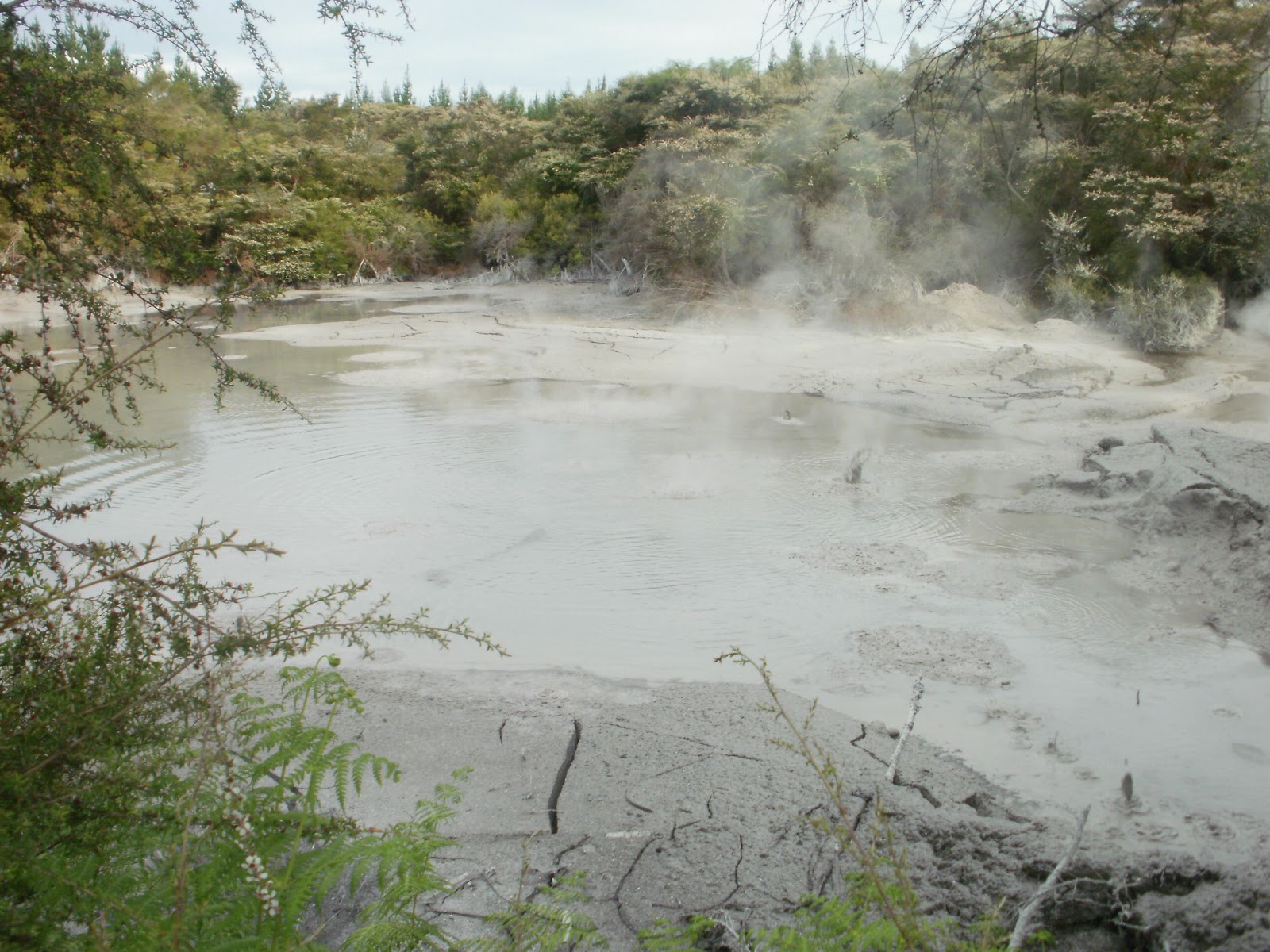 No direction home ... a complete unknown ... like a rolling luggager ...