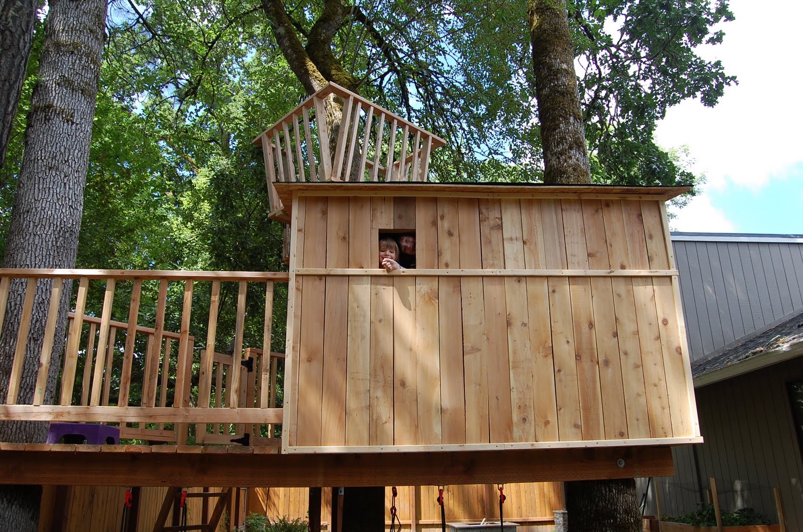The Knight Life: Tree Fort & Backyard