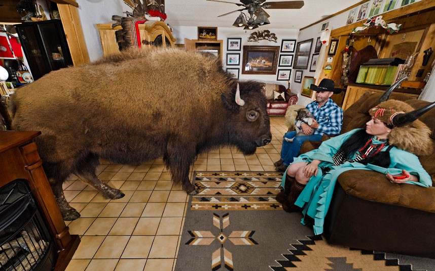 A family shares their house with two bison (13 pics) | Amazing Creatures