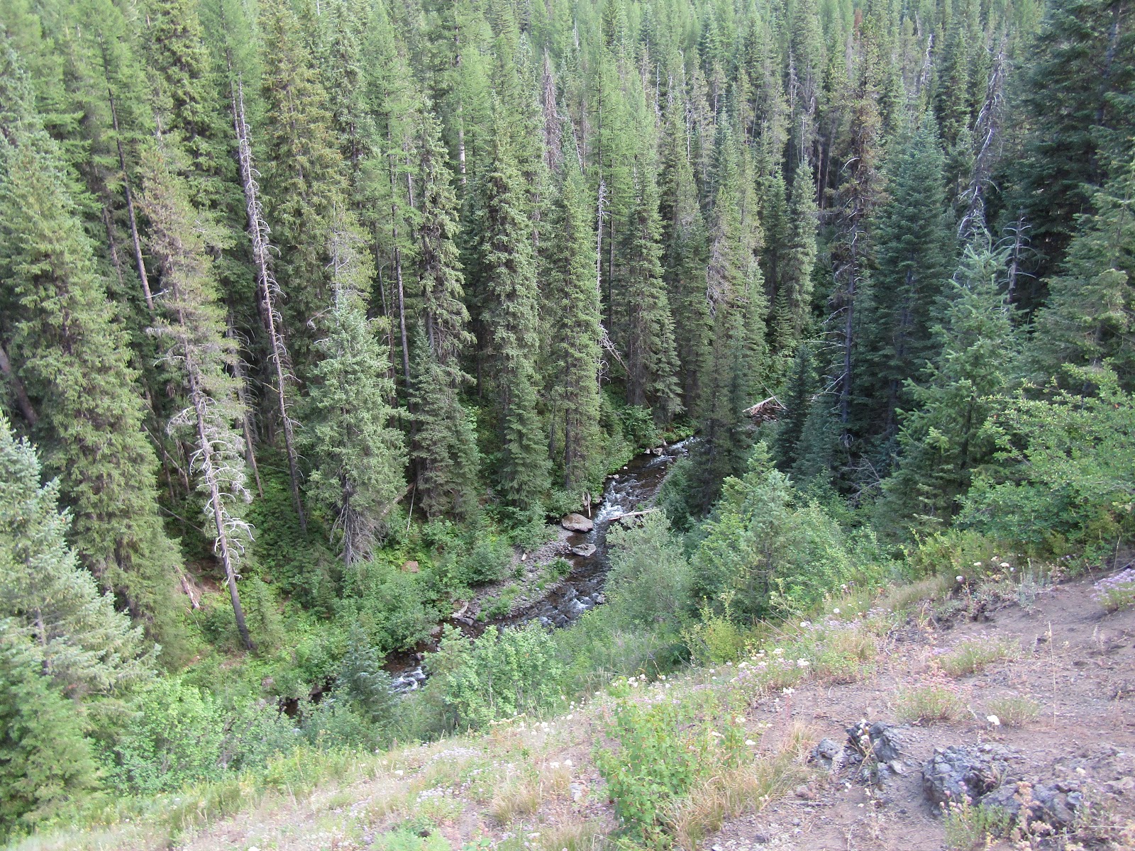 Holly's Horse Tales and Trails: Moss Springs and North Fork John Day ...