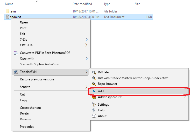 Starting Out In Development - Subversion