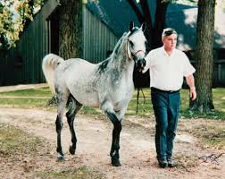 all for the love of a horse...: January 2019