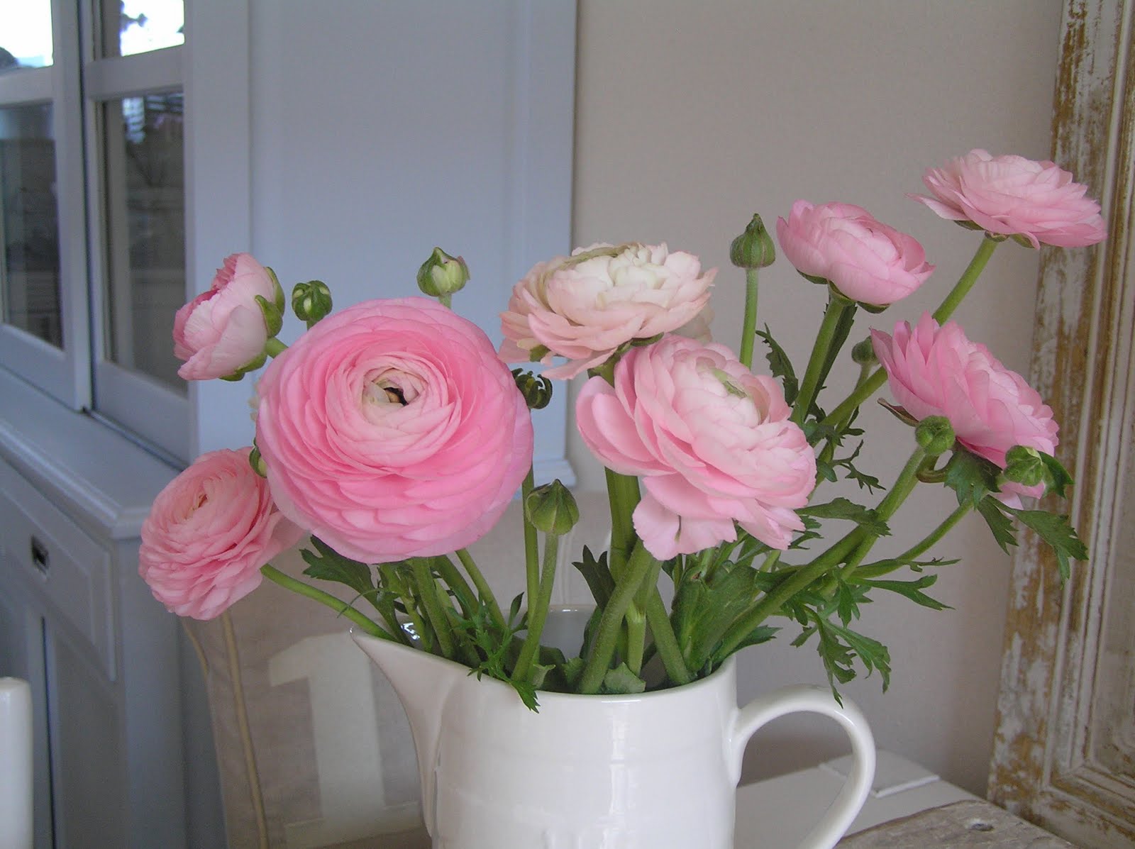 Pastels and Whites: Ranonkels.. one of my favourite flowers