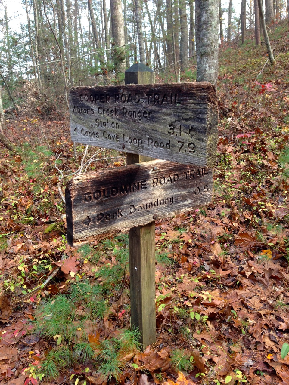 900 miles: Cooper Road, Hatcher Mountain, Little Bottoms Loop