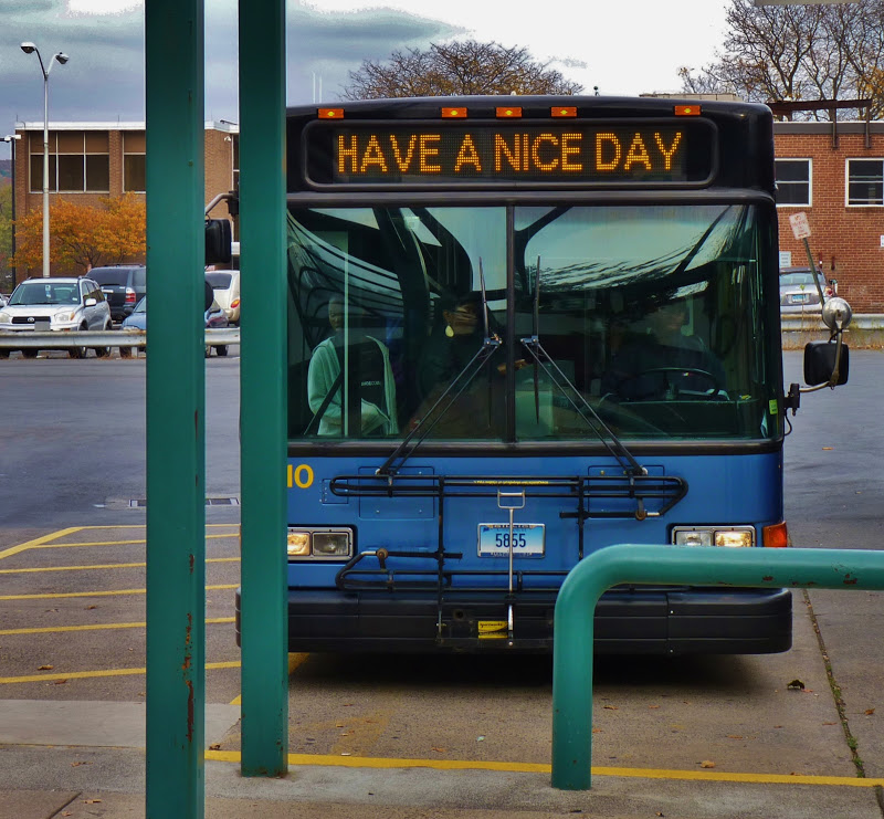 The Brownstone Birding Blog: 7 Reasons Why Birders Should Try Using A Bus