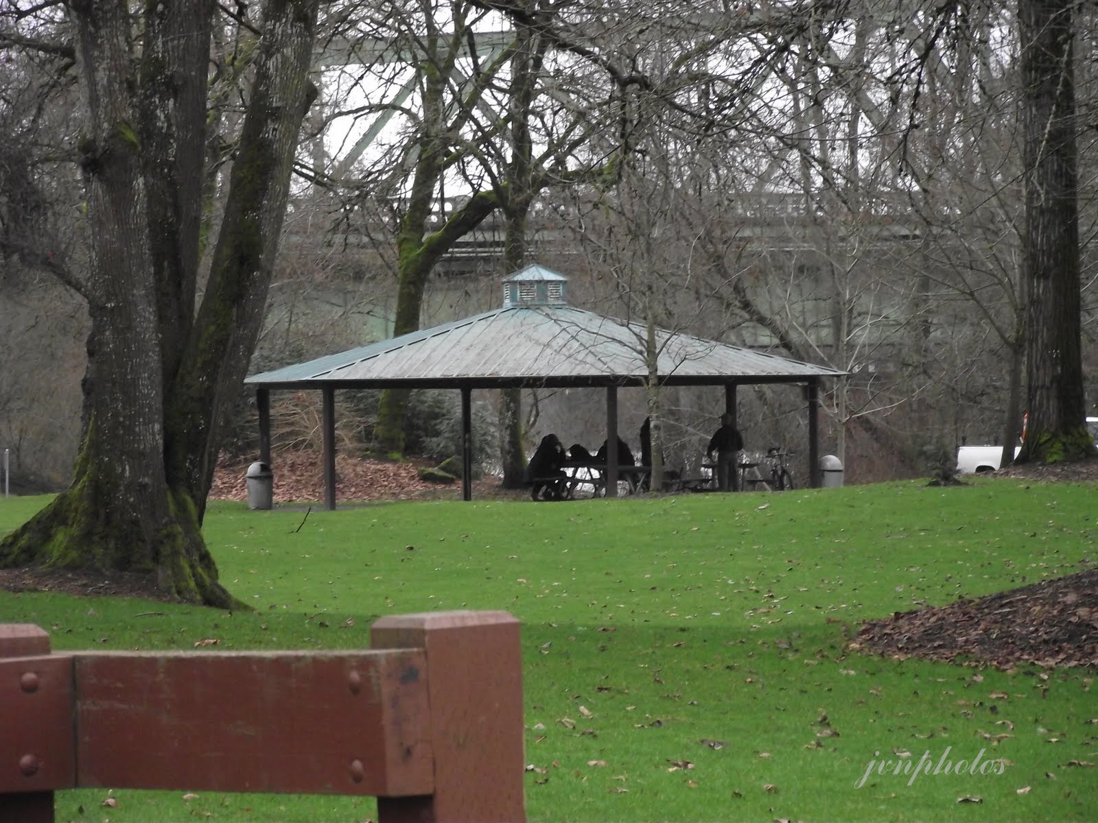 Photos by Jan: Island Park-Springfield, Oregon