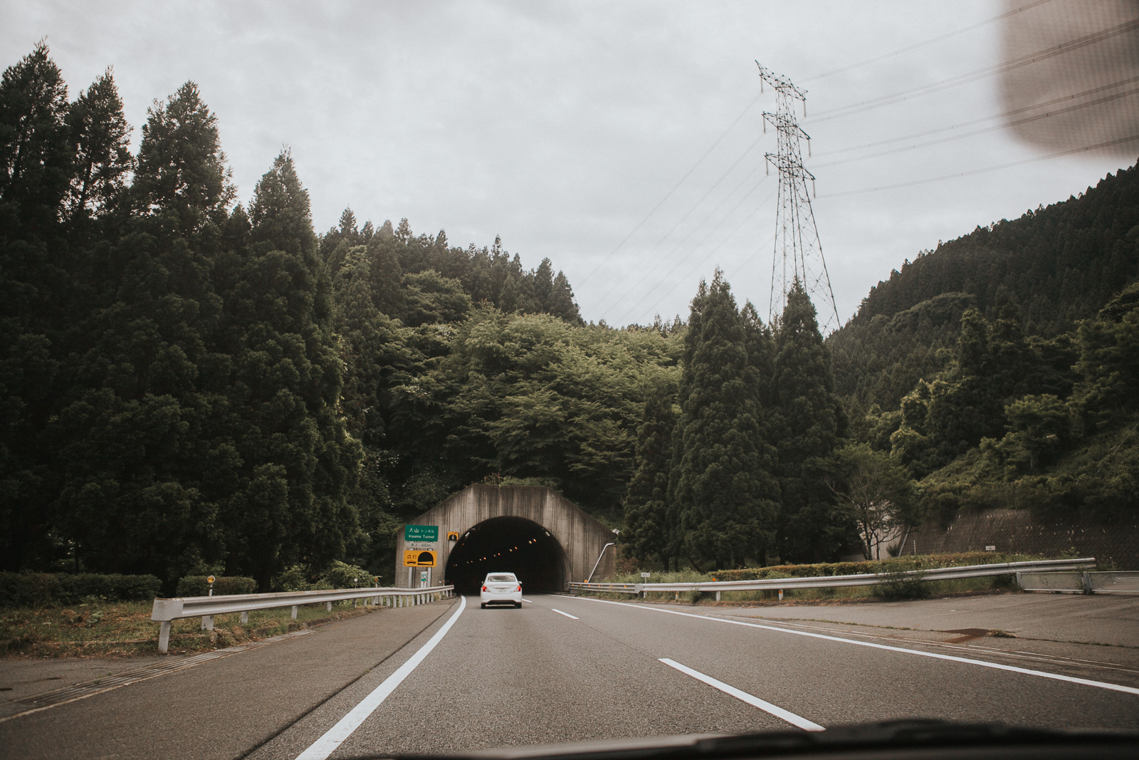 A Walk in Totoro's Forest - Sayama Hills Day Trip from Tokyo ...