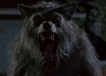 The Sky Has Fallen: Silver Screen Werewolves