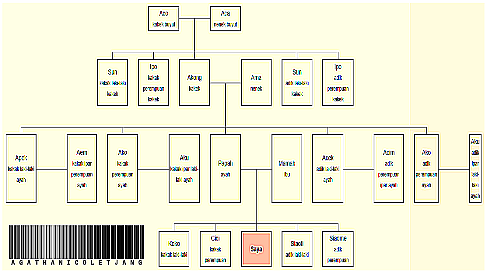 NAMA MARGA KETURUNAN CINA DI INDONESIA DAN DUNIA | AGATHA NICOLE