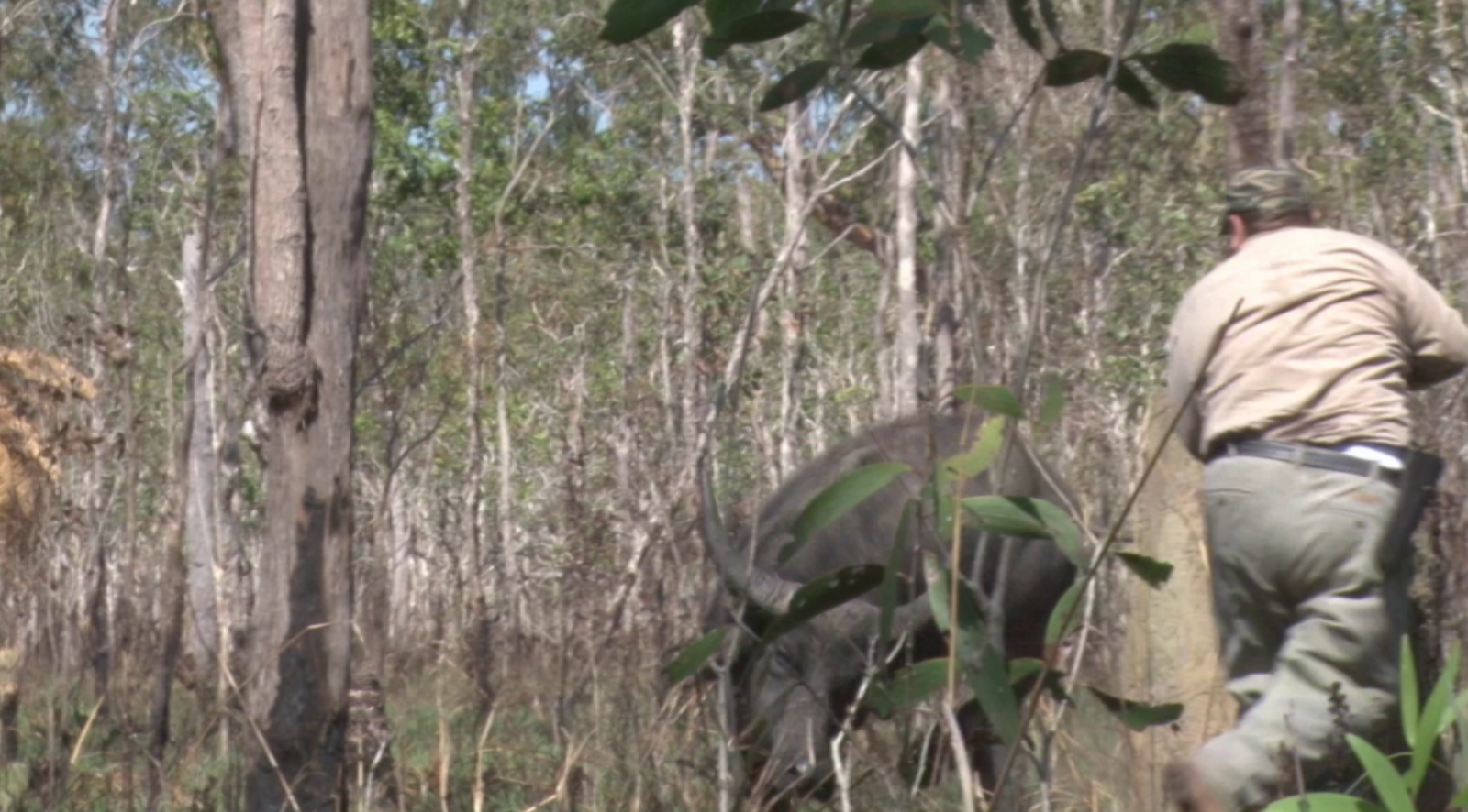 Lynn Thompson Blog : Cold Steel Knives