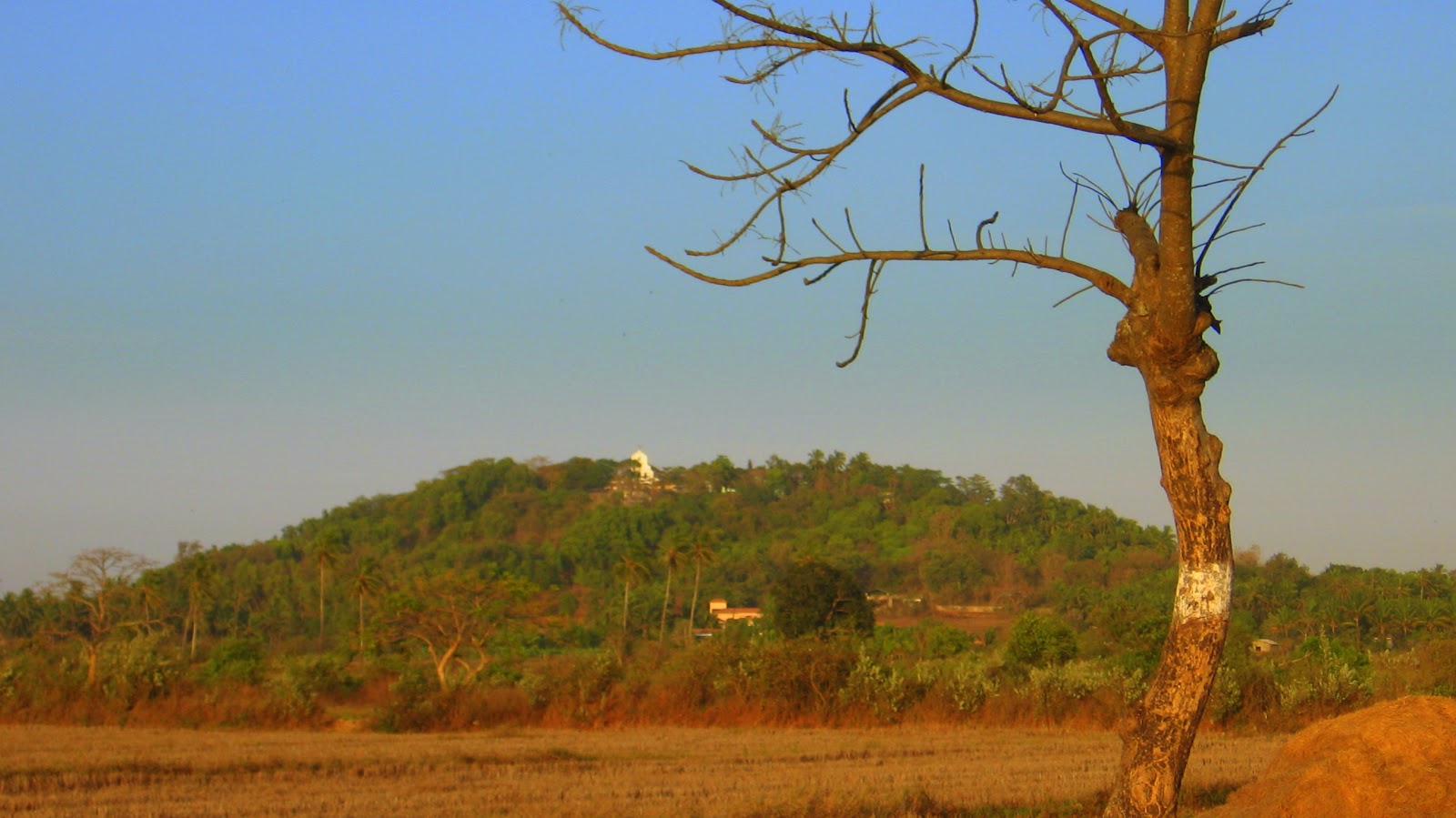 TōnFerns - A Nostalgic Journey (Tony Fernandes): The Longest & Straight ...