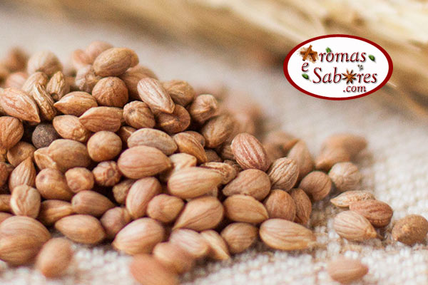 Aromas e Sabores: Mahlab ou mahleb - especiaria exótica