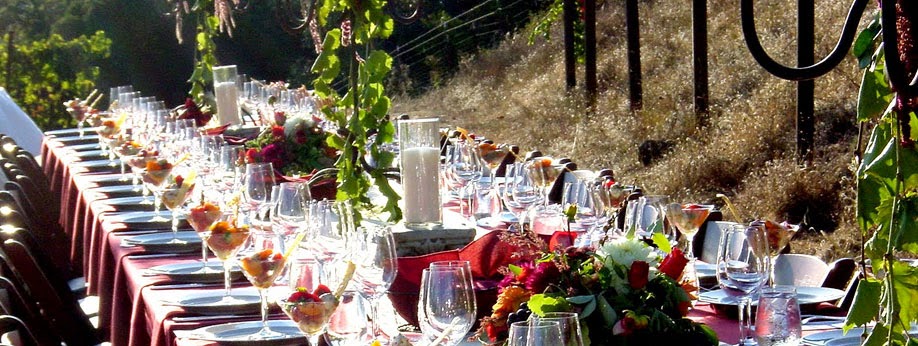 Willow Bee Inspired: RSVP Collection No. 54 - Vineyard Dining, Or close ...