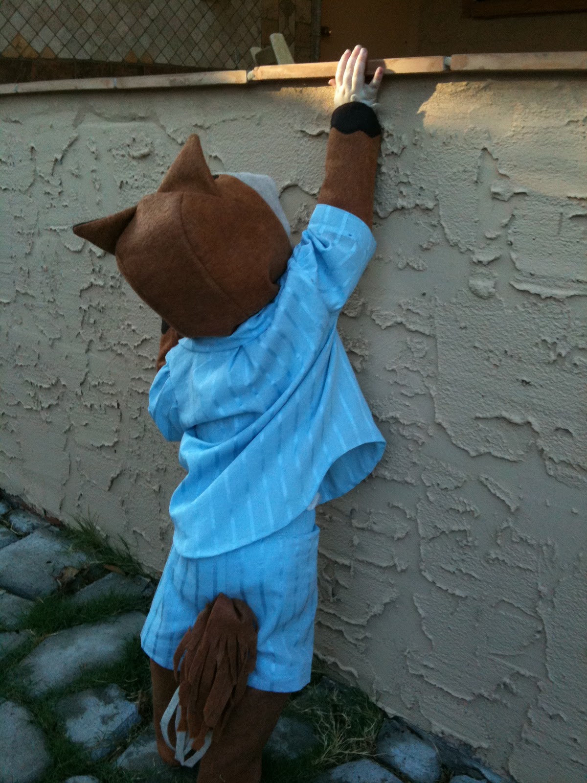 a way into Narnia: Fantastic Mr. Fox