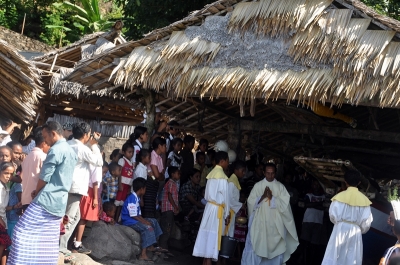 Evon Ladjar Blog: TRADISI PENANGKAPAN IKAN PAUS DI LAMALERA, LEMBATA