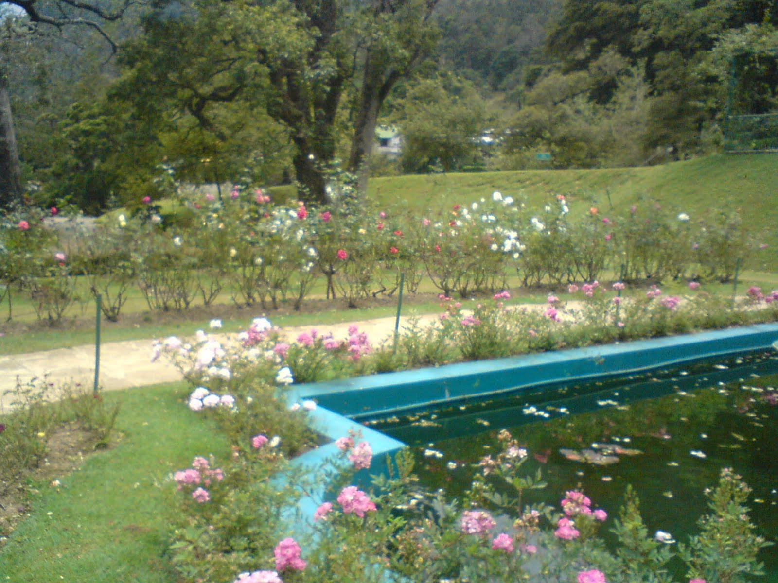 Lanka Seya: Haggala Botanical Garden