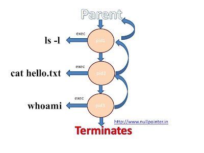 fork and exec method use together to execute Shell Commands | Operating System ~ nullpointer ...