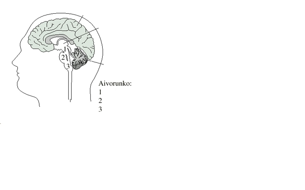 teknologiaa Viivin tapaan: maaliskuuta 2013