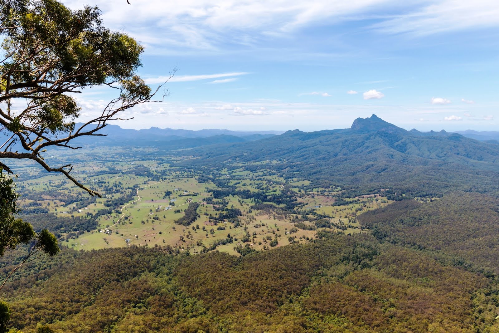 National Park Odyssey: Tweed Range Scenic Drive, Wildlife and Walks in ...