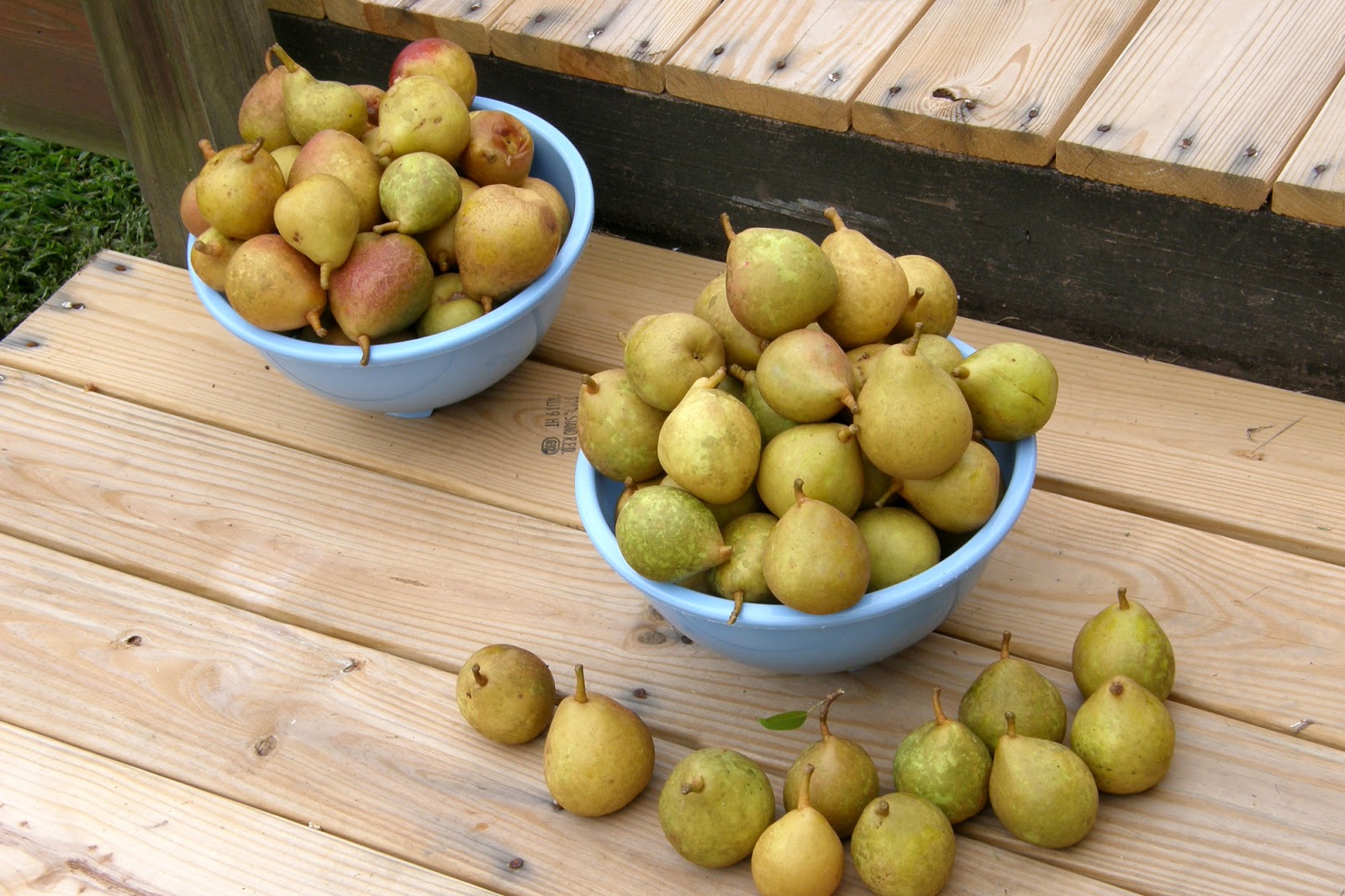 Food Gratitude: Our North Carolina Home