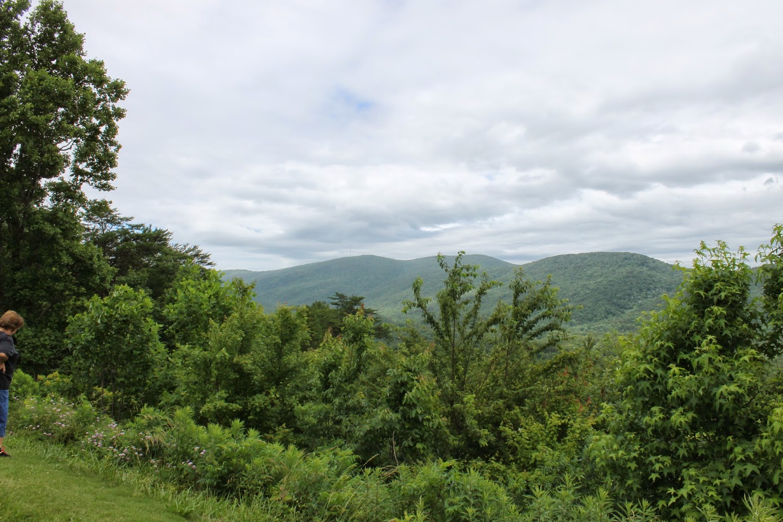 Roads to be Traveled: Cheaha State Park Alabama