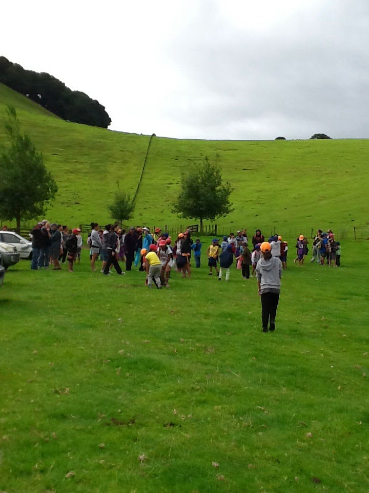 Ruma 1 @ Tautoro School: Ko Tauanui te maunga. Ko Kereru te roto. Te ...