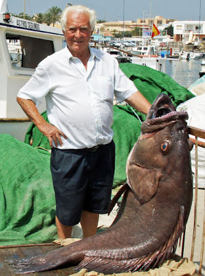 Frutos del Mar: Cherna y mero