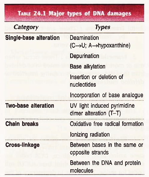 Notes on Genetic Engineering and Biotechnology: DNA Repair Mechanisms ...