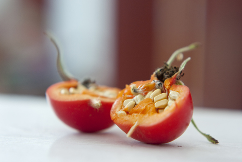 Cooking vegan food up north.: Rose Hip Soup