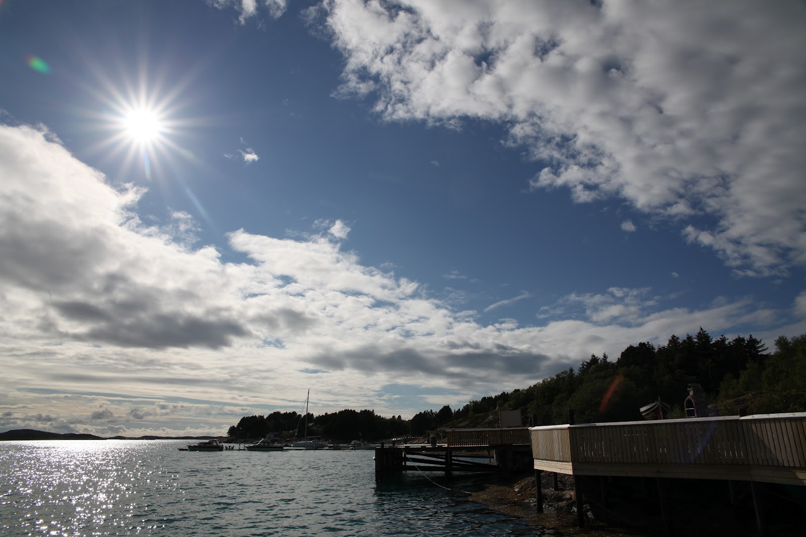 Svalbardliv: Rause Rødøy