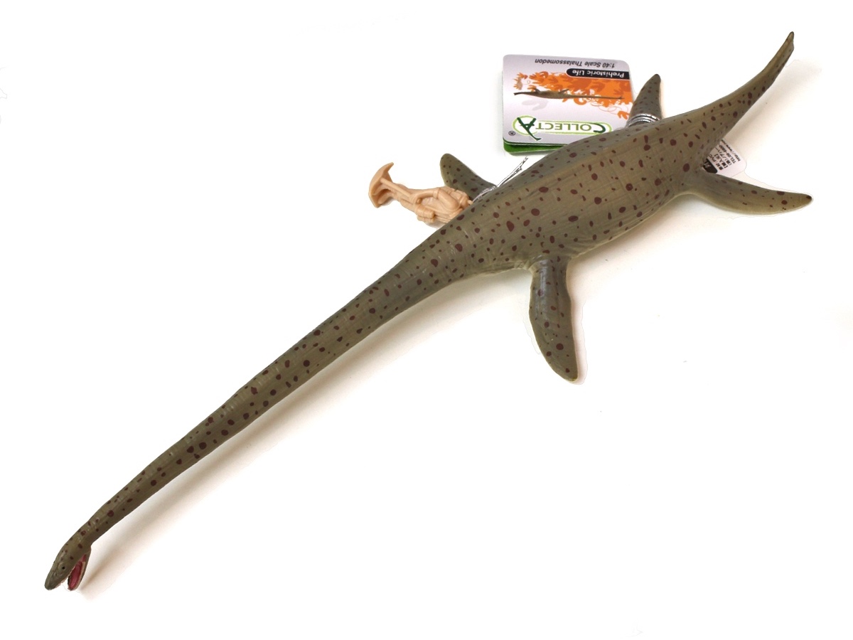 動物フィギュアの箱庭blog: ミニチュアプラネットの新製品、オーストラリアシリーズが入荷しました！